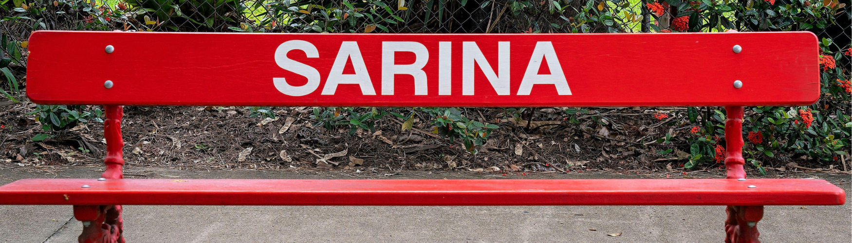 Supporting Sarina | selectability